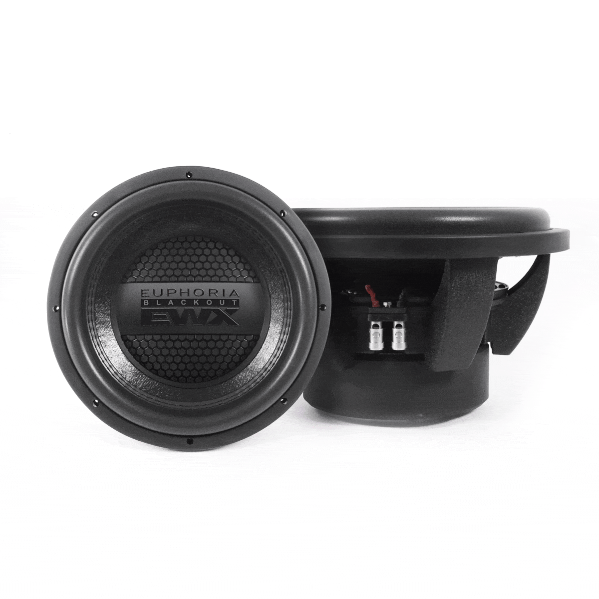 EWXB12D4 : 12" Dual 4-Ohm Subwoofer Black Out Edition – DB Drive