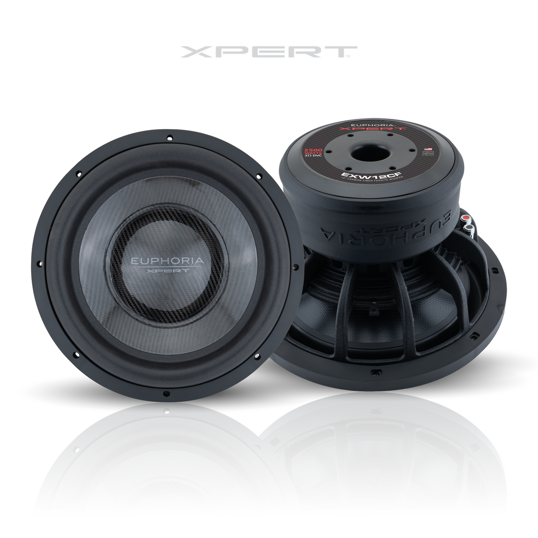 EXW12CF : 12 in. Dual 2-Ohm Carbon Fiber Subwoofer With Ferrite Magnet ...
