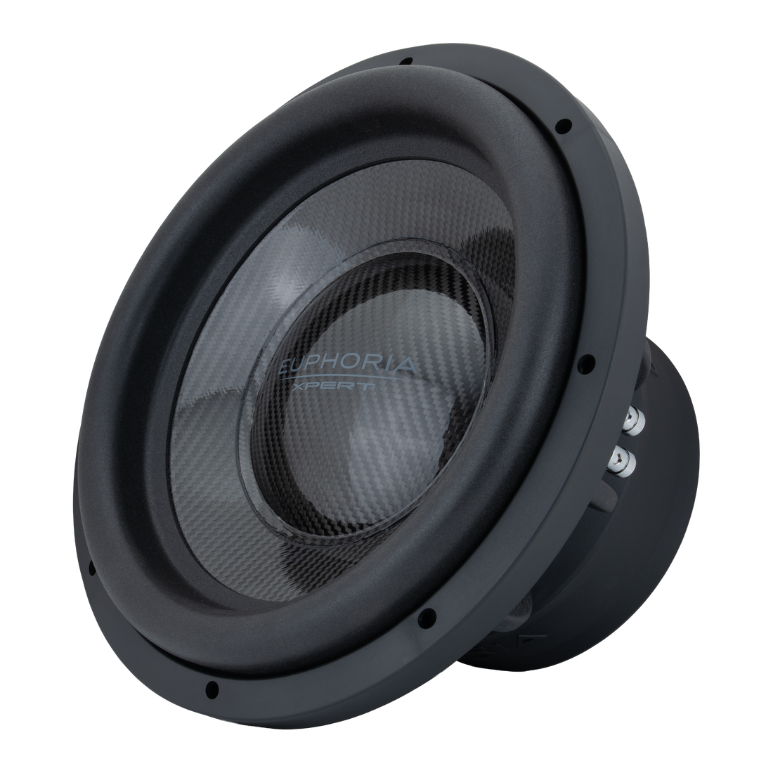 EXW12CF : 12 in. Dual 2-Ohm Carbon Fiber Subwoofer With Ferrite Magnet ...